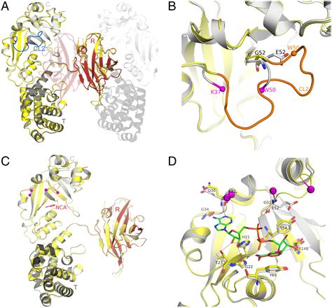 Structural Basis For Lack Of Toxicity Of The Diphtheria Toxin Mutant