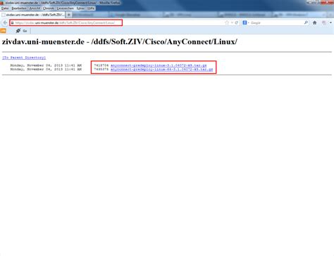 ziv vpn linux