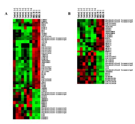 hierarchical cluster analysis of significant regulated