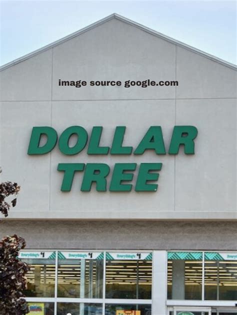 11 Best Home Items To Buy At Dollar Tree In April Codeavail