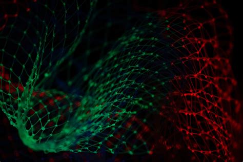 how and why to add environment variables to netlify better programming