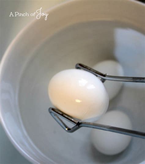 how to hard boil a perfect egg in 6 easy steps a pinch of joy