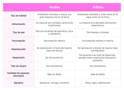 10 Ejemplos Prácticos De Cuadros Comparativos Aprenda Con Eficacia