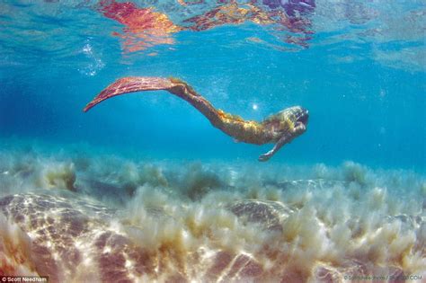 Kazzie Mahina The Real Life Mermaid Who Swam With Sharks When She Was