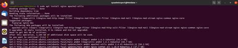 how to monitor ubuntu performance using netdata sysadminxpert