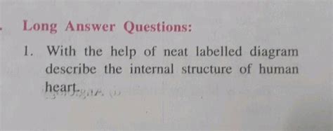 Describe The Structure Of The Heart Of Human With The Help Of Neat