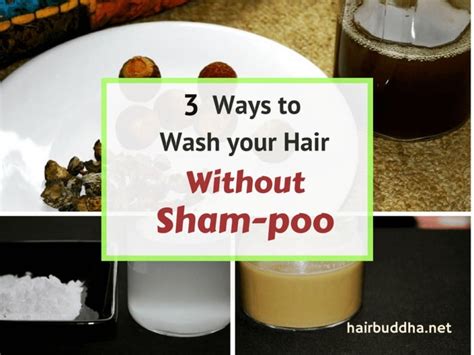 3 Ways To Clean Your Hair Without Sham Poo Hair Buddha