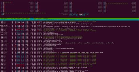 vyos 1 2 4 bgp memory leak bugs vyos platform community forums
