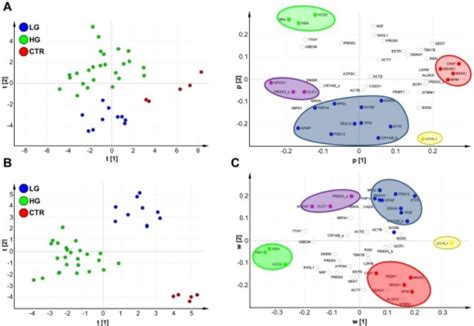 pca and pls da models a left pca score plot showing open i
