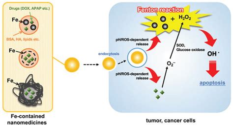Molecules Free Full Text Current Use Of Fenton Reaction In Drugs