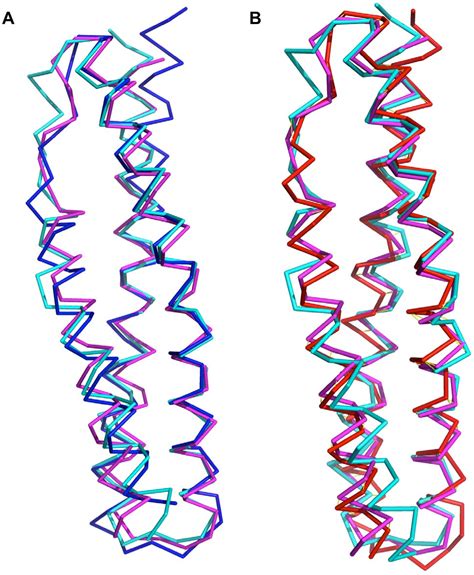 [pdf] The Crystal Structures Of Dystrophin And Utrophin Spectrin