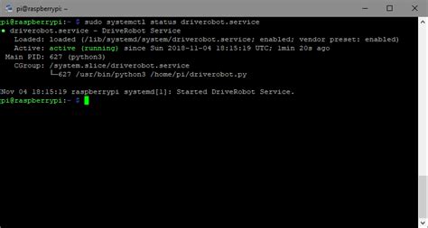 auto starting programs on the raspberry pi the pi hut