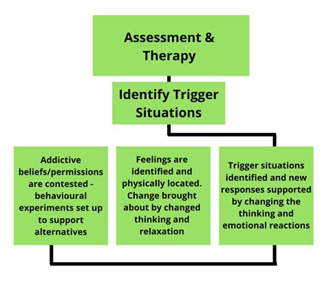 Cognitive Behavioural Therapy Rehab Guide
