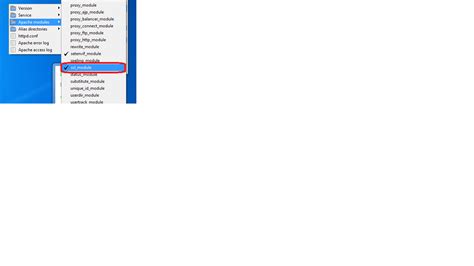 exceptionthroow send email from localhost using phpmailer