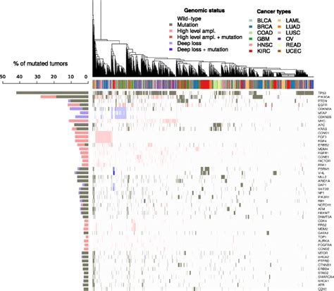 unsupervised clustering of 3184 tcga samples based on genomic status of