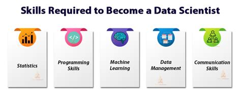 the ultimate data science career guide insightin technology