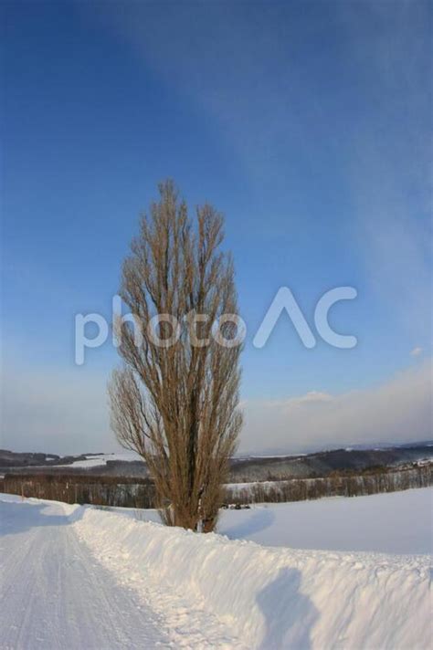 北海道の雪景色 美瑛の雪原 No 1057436｜写真素材なら「写真ac」無料（フリー）ダウンロードok