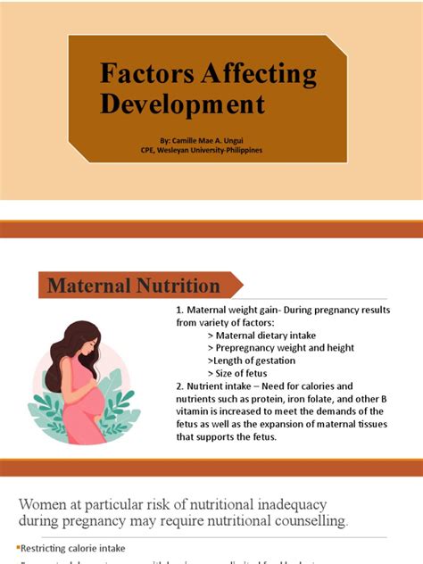 Factors Affecting Development Report Pdf Pregnancy Fetus