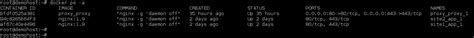 how to setup nginx as reverse proxy using docker
