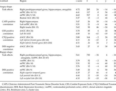 Functional Magnetic Resonance Imaging Fmri Responses During The