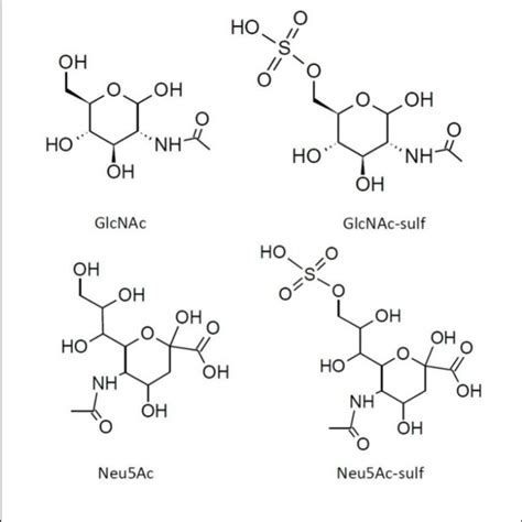 Scheme 1 Molecular Structures Of Glcnac And Neu5ac In Standard And