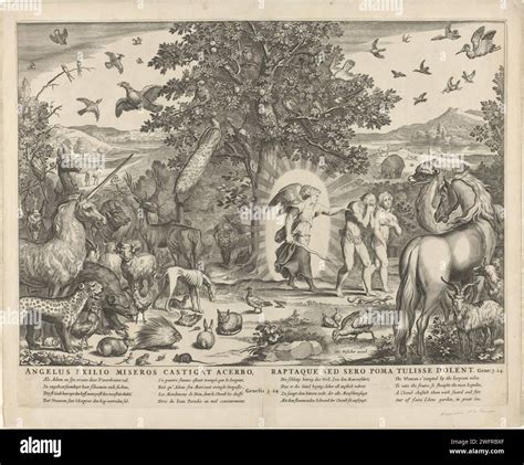 Expulsion From Paradise Anonymous After Nicolaes De Bruyn 1652