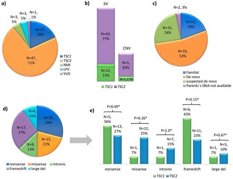 Overview Of The Mutational Spectra In The Tsc1 And Tsc2 Genes A
