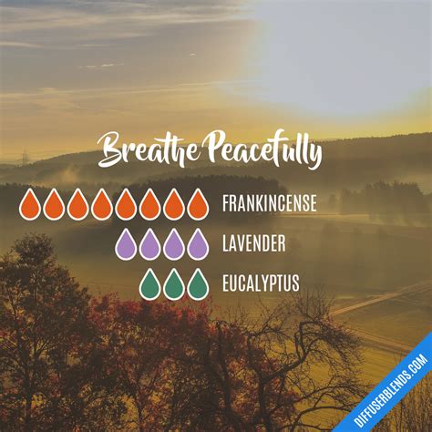 Blend Recipe 8 Drops Frankincense 4 Drops Lavender 3 Drops