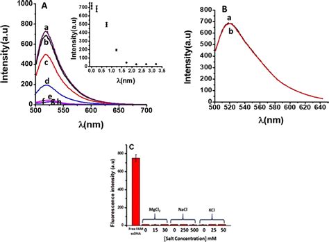 Fluorescence Spectra Of Fam Labeled Dna Strand 8 3 Nm A In The