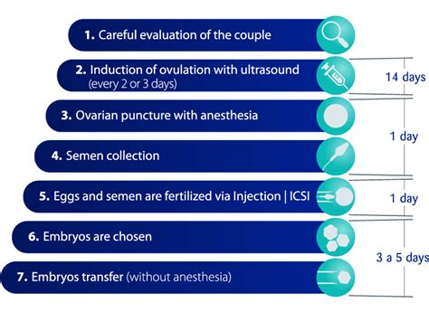 Understanding Fertility Tests Antral Follicle Count And 40 Off