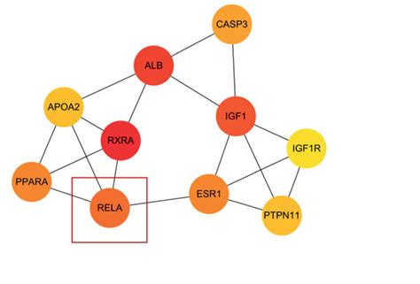 A Cytoscape Treated Protein Interaction Network B The Top Ten