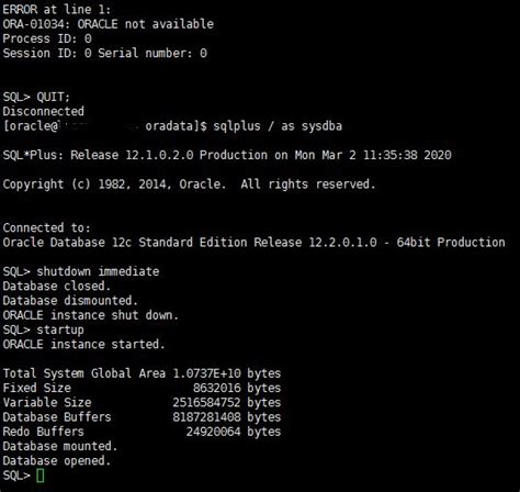how to fix ora 01034 oracle not available error techie page