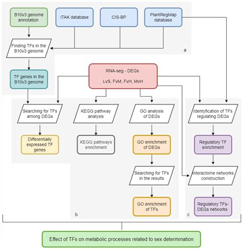 Metabolites Free Full Text Understanding Transcription Factors And