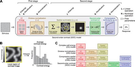 Figure 2 From A Two Stage Cascade Model Of Bold Responses In Human