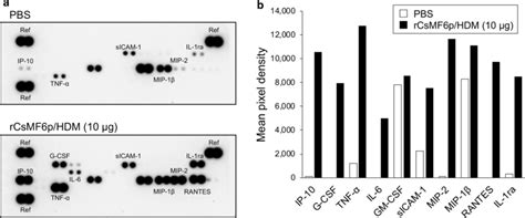 Cytokine Profile Analysis Of Raw 264 7 Cells Stimulated By Csmf6p Hdm
