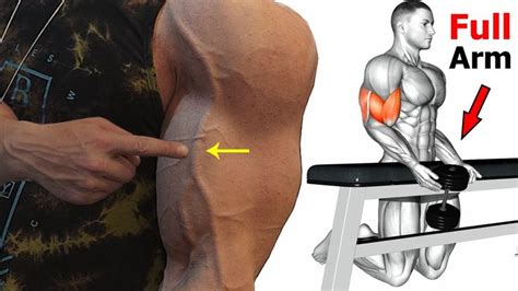 Full Arm Workout 12 Exercises To Make Your Arms Big And Perfect Arm