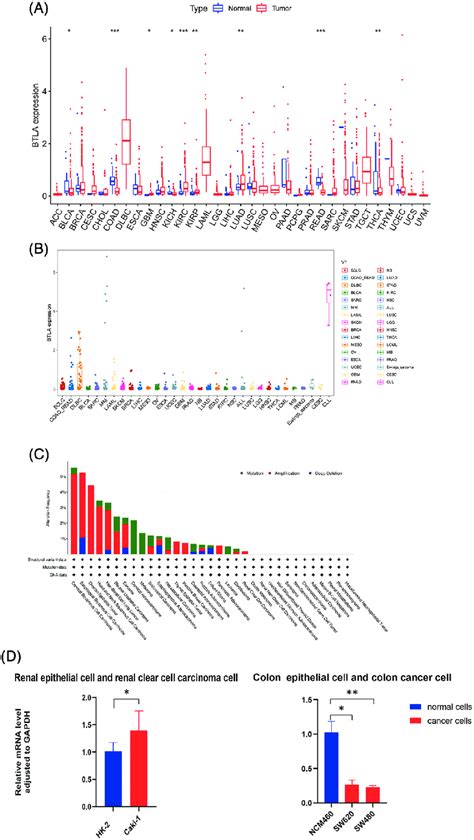 The Expression Of B And Tlymphocyte Attenuator Btla And Gene