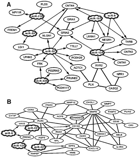 Confirmed Microrna Mirna Or Mir ‑targeted Differentially Expressed