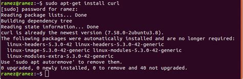 downloading files on linux using the command line linux hint