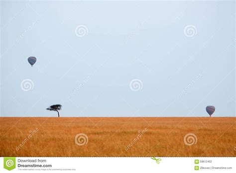 Sabana Africana Con Los Turistas En Un Safari Del Globo Del Aire
