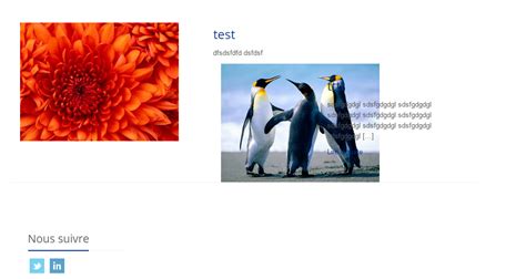 php display wordpress loop in two columns using bootstrap grid