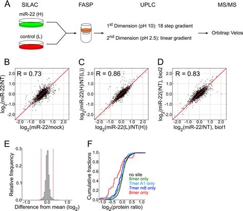 Silac Based Proteomics Allows Accurate And Reproducible Protein
