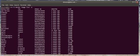 how to remove all docker images linux hint