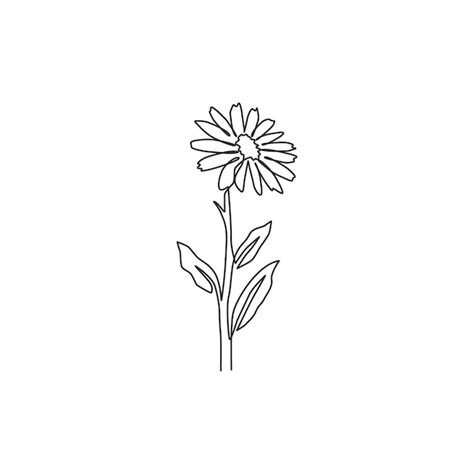 Premium Vector One Single Line Drawing Of Beauty Fresh Calendula For