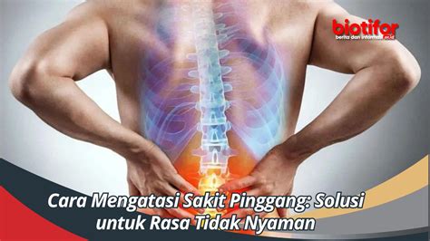 Cara Mengatasi Sakit Pinggang Solusi Untuk Rasa Tidak Nyaman Biotifor