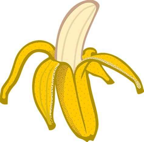 Pisang Pendidikan Buah Gambar Vektor Gratis Di Pixabay