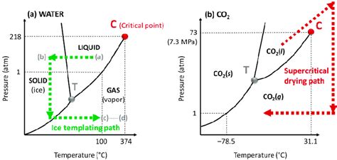 Phase Diagrams Of Freeze Drying A And Supercritical Drying B