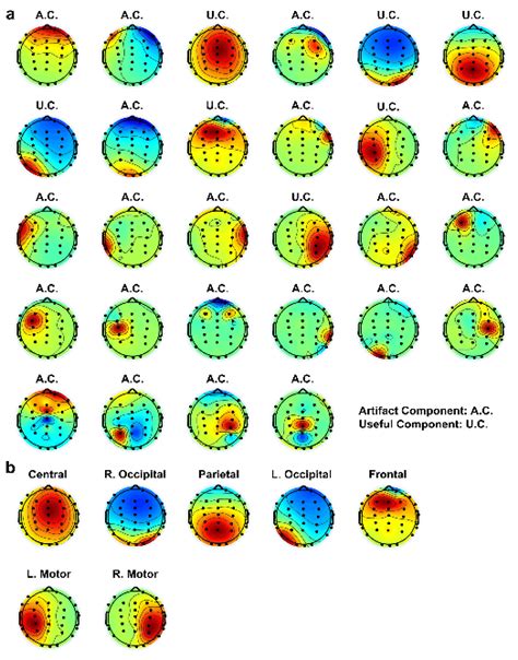 Pdf An Eeg Based Brain Computer Interface For Dual Task Driving