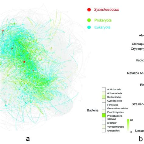 Microbial Community Co Occurrence Network Associated With Download