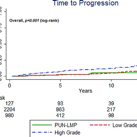 Cumulative Incidence Curves Displaying The Risk Of Progression For All